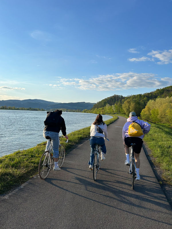 Alles, was du über's Medizinstudium in Linz wissen musst