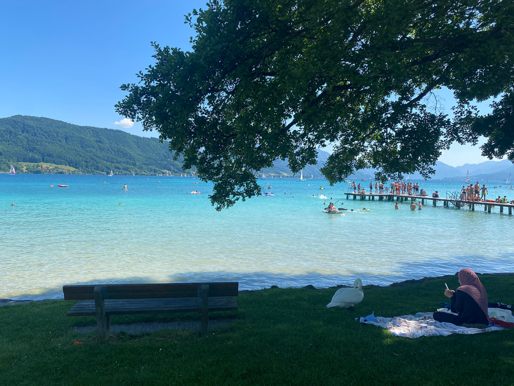 Medizin studieren Österreich: Standorte öffentl. Medizinstudium