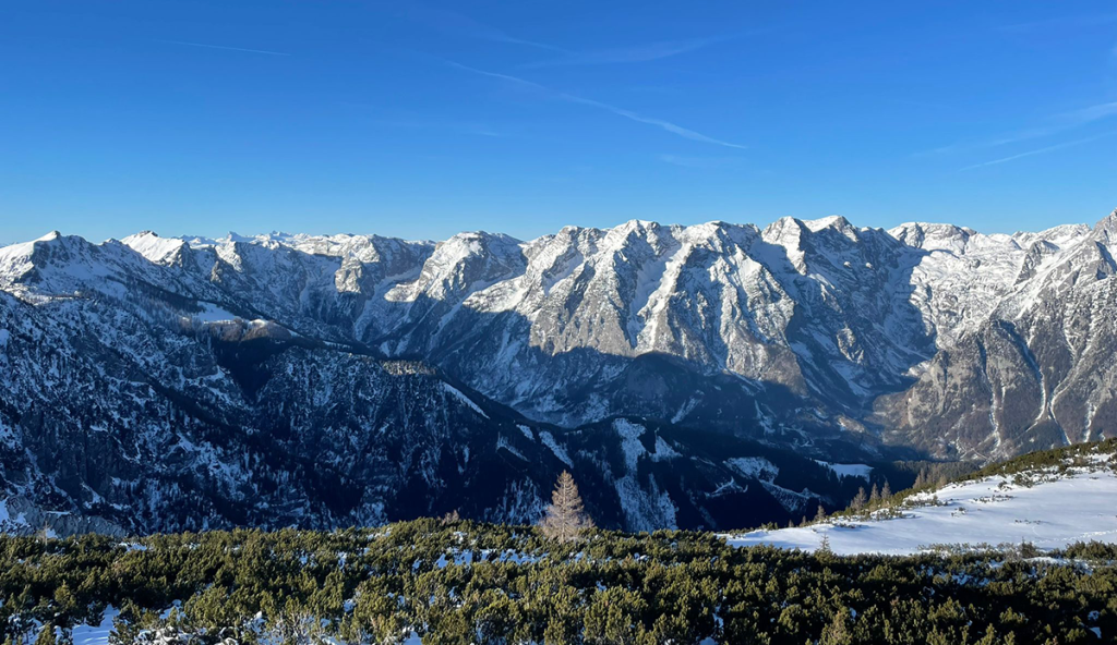Medizin studieren Österreich: Standorte öffentl. Medizinstudium